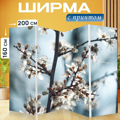 Ширма перегородка с принтом "Расцветает, кустарник, весна" на холсте - 200x160 см. для зонирования, раскладная