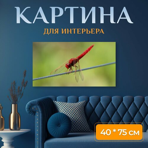 Картина на холсте "Стрекоза, насекомое, природа" на подрамнике 75х40 см. для интерьера