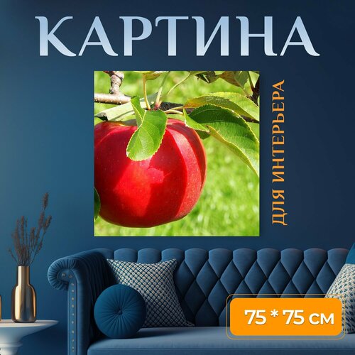 Картина на холсте "Яблоко, красный, уборка урожая" на подрамнике 75х75 см. для интерьера