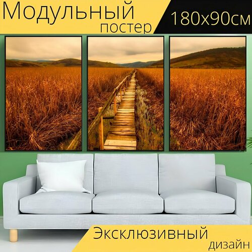Модульный постер "Пейзаж, поле, сельское хозяйство" 180 x 90 см. для интерьера