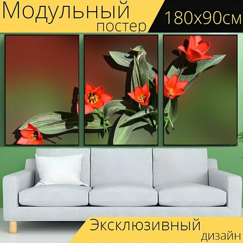 Модульный постер "Тюльпаны, весенние цветы, тюльпан" 180 x 90 см. для интерьера