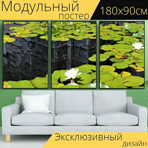 Модульный постер "Отражение, пруд, водяные лилии" 180 x 90 см. для интерьера