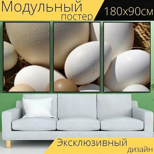 Модульный постер "Яйца, корзина, яйцо страуса" 180 x 90 см. для интерьера