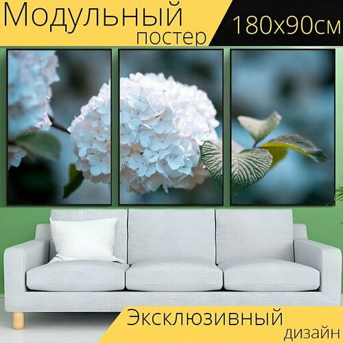 Модульный постер "Растения, цветы, весна" 180 x 90 см. для интерьера