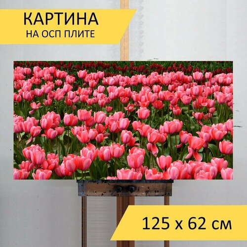 Картина на ОСП 125х62 см. "Тюльпаны, цветок тюльпан, поле тюльпанов" горизонтальная, для интерьера, с креплениями