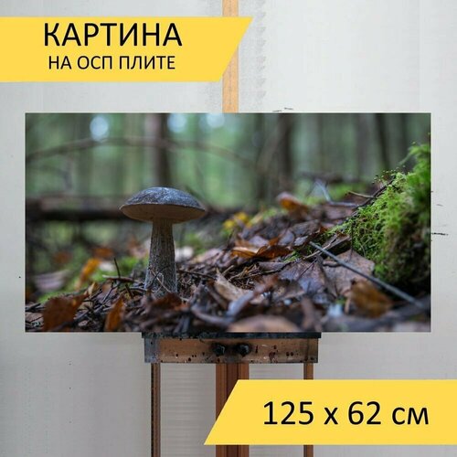 Картина на ОСП 125х62 см. "Подберёзовик, лес, гриб" горизонтальная, для интерьера, с креплениями