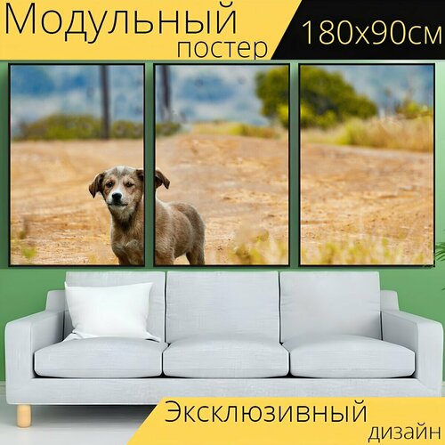 Модульный постер "Собака, щенок, домашний питомец" 180 x 90 см. для интерьера