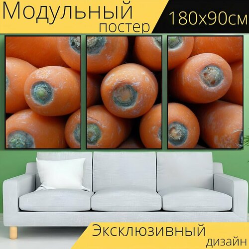Модульный постер "Морковь, овощ, свежий" 180 x 90 см. для интерьера