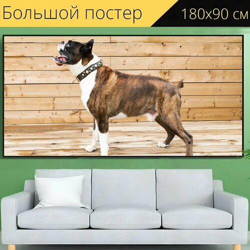 Большой постер "Собаки, боксер, собачка" 180 x 90 см. для интерьера