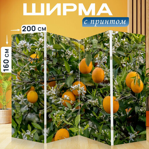 Ширма перегородка с принтом "Цветок, цветок апельсина, цветы" на холсте - 200x160 см. для зонирования, раскладная