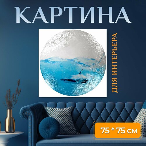 Картина на холсте "Стеклянный шар, вода, акула" на подрамнике 75х75 см. для интерьера