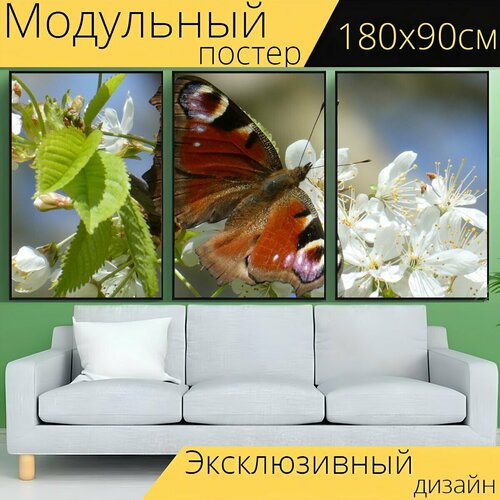Модульный постер "Бабочка, насекомое, чешуекрылые" 180 x 90 см. для интерьера