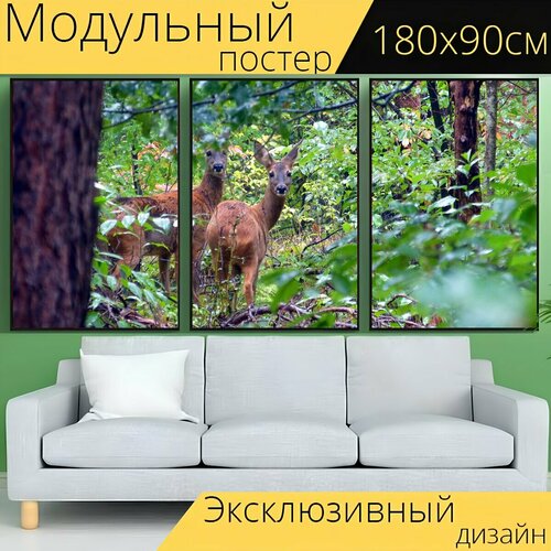 Модульный постер "Олень, лес, дикая природа" 180 x 90 см. для интерьера