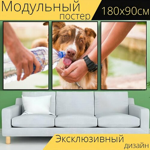 Модульный постер "Собака, помогая собаке, любвеобильная собака" 180 x 90 см. для интерьера