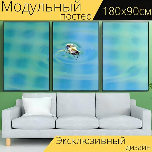 Модульный постер "Насекомое, вода, плавать" 180 x 90 см. для интерьера
