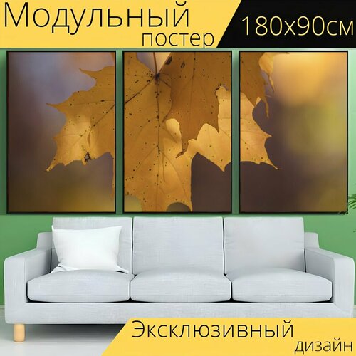 Модульный постер "Листья, осень, природа" 180 x 90 см. для интерьера