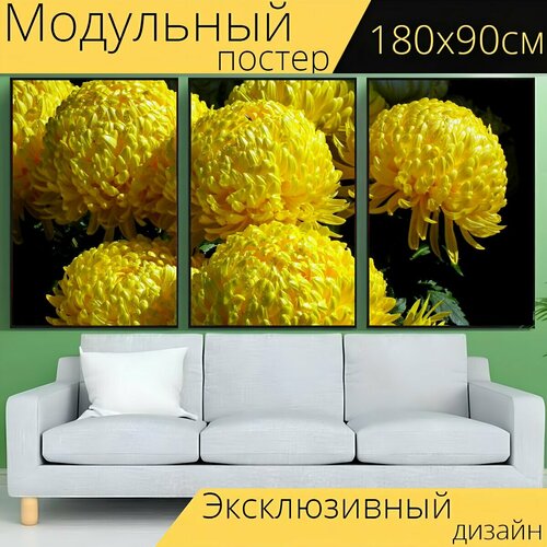 Модульный постер "Хризантемы, цветы, желтый" 180 x 90 см. для интерьера