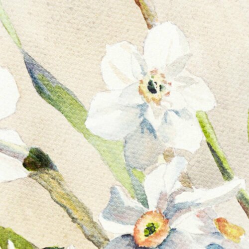 Картина на холсте, репродукция / Ханна Боргер Овербек - White Narcissus with Gray Accents / Размер 30 x 40 см