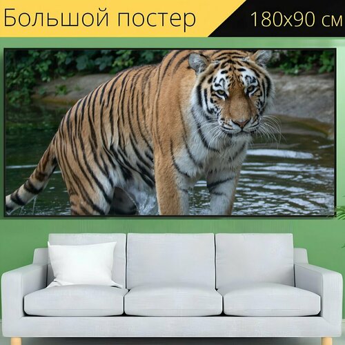 Большой постер "Тигр, дикая природа, хищник" 180 x 90 см. для интерьера