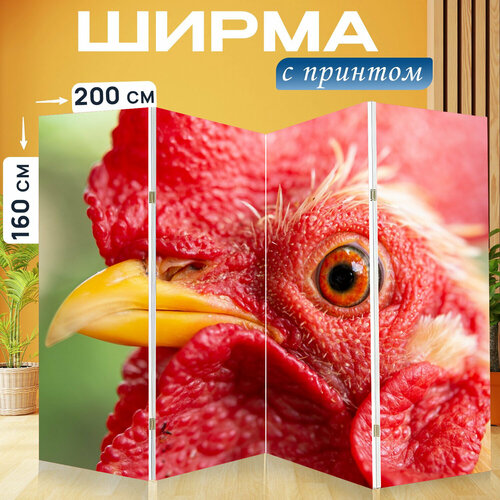 Ширма перегородка с принтом "Петух, курица, животное" на холсте - 200x160 см. для зонирования, раскладная