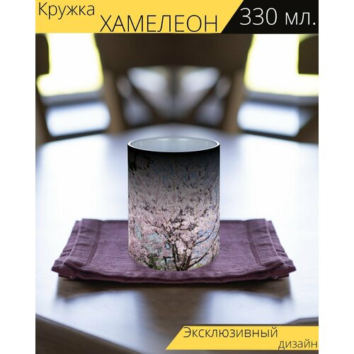 Кружка хамелеон с принтом "Сакура, дерево, цвести" 330 мл.