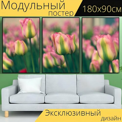 Модульный постер "Тюльпан, сад, цвести" 180 x 90 см. для интерьера