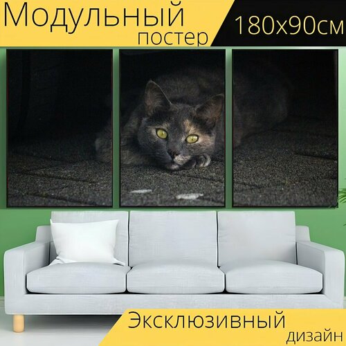 Модульный постер "Кот, милый, комфортный" 180 x 90 см. для интерьера