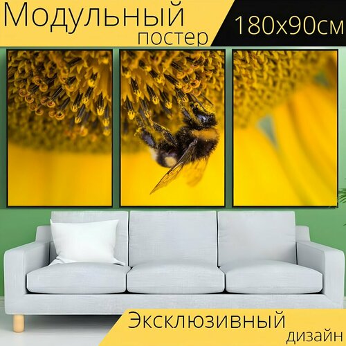 Модульный постер "Пчела, насекомое, макрос" 180 x 90 см. для интерьера