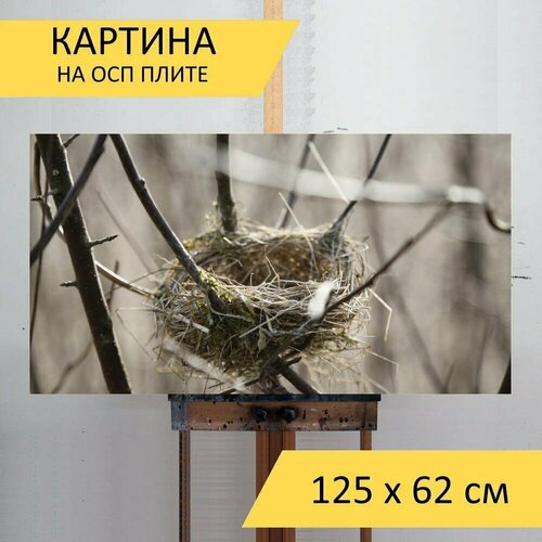 Картина на ОСП 125х62 см. "Птичье гнездо, ветвь, природа" горизонтальная, для интерьера, с креплениями