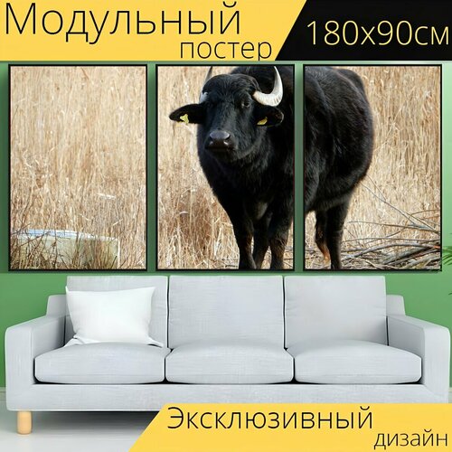 Модульный постер "Водяной буйвол, говядина, бычий" 180 x 90 см. для интерьера