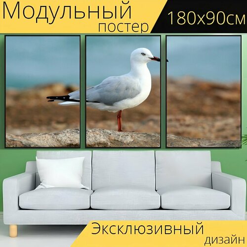 Модульный постер "Животное, птичий, птица" 180 x 90 см. для интерьера
