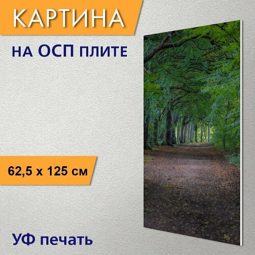 Вертикальная картина на ОСП "Лес, дорожка, деревья" 62x125 см. для интерьериа