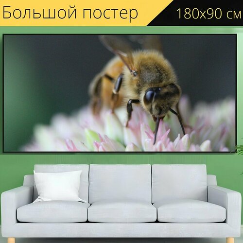 Большой постер "Пчела, насекомое, жук" 180 x 90 см. для интерьера