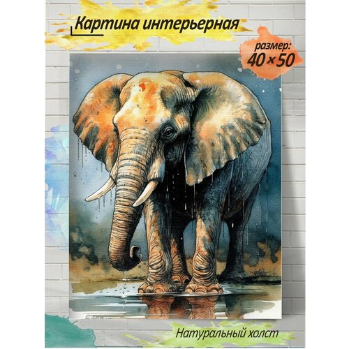 Картина готовая на холсте, 40x50, слон, c подрамником