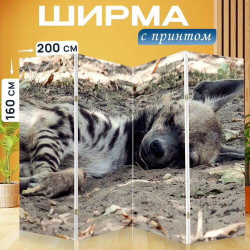 Ширма перегородка с принтом "Гиена, млекопитающее, животное" на холсте - 200x160 см. для зонирования, раскладная