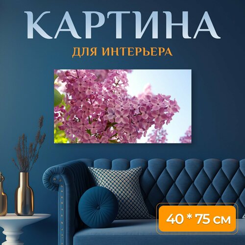 Картина на холсте "Сирень, цветы, блум" на подрамнике 75х40 см. для интерьера