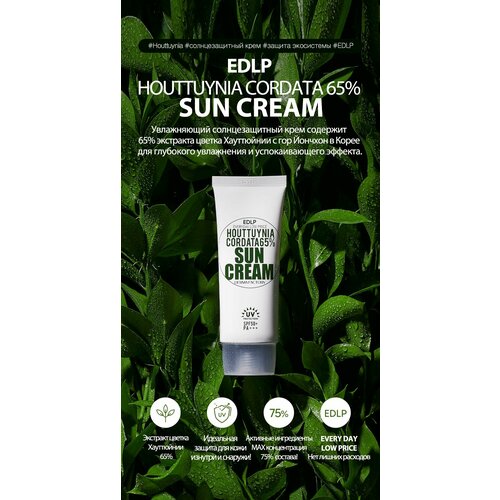 Derma Factory Крем солнцезащитный с экстрактом хауттюйнии - Houttuynia cordata 65% sun cream, 50мл