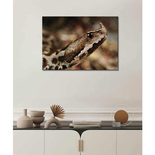 Картина - змея, габонская гадюка, ядовитая змея, большая змея, кожа змеи (2) 30х40
