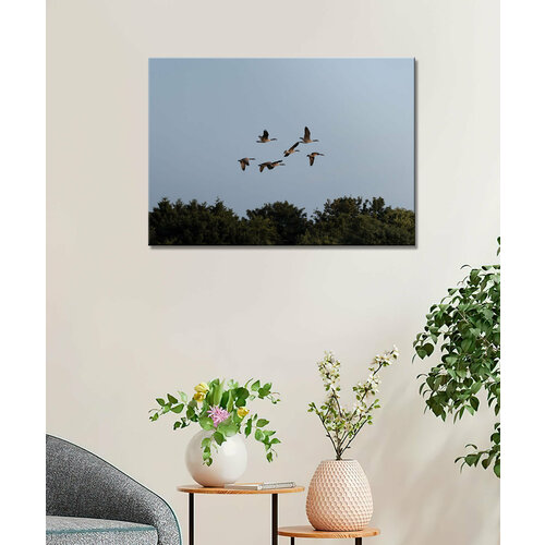 Картина - Гуси, гусь перелетная птица, стая гусей в небе (34) 50х70