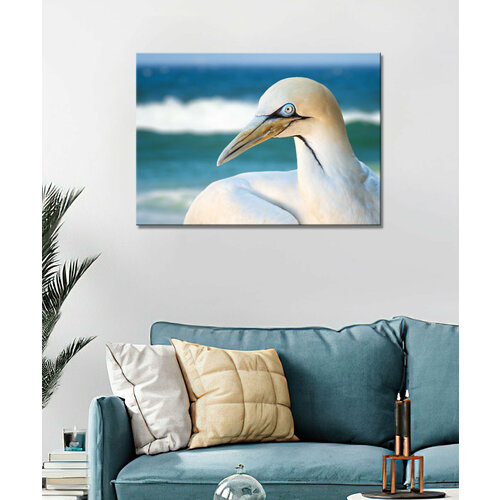 Картина - Олуша, птица олуша, олуша северная птица (7) 60х80