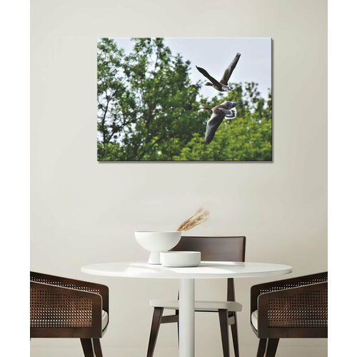 Картина - Гуси, гусь перелетная птица, серые гуси в полете (47) 50х70