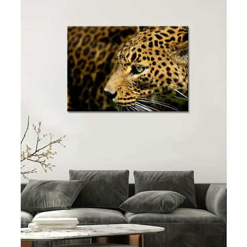 Картина/Ягур/Ягуар в джунглях/Ягуар на дереве/Черный ягуар/ - Ягуар (55) 50х70
