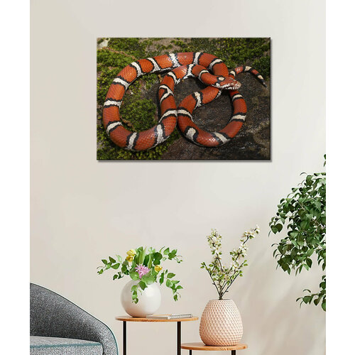 Картина - змея, королевская змея, красная змея, белые линии, змея в траве (35) 20х30