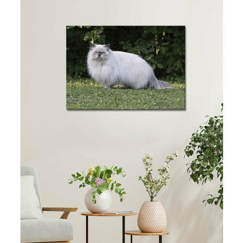 Картина - кошка, персидская кошка, домашняя кошка, ласковая кошка, кот (309) 60х80