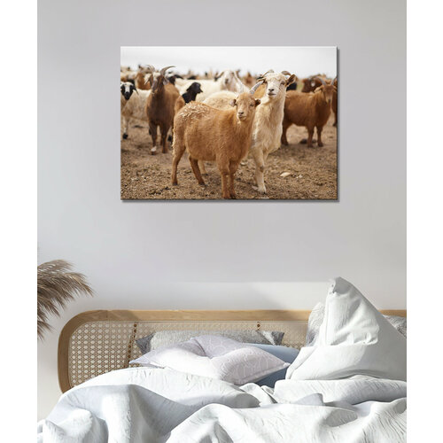 Картина -Коза, козел, коричневый козел, коричневая коза (11) 50х70