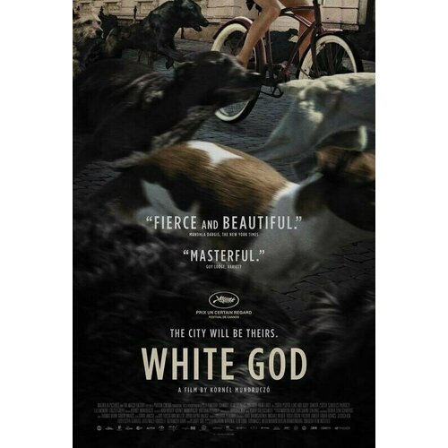 Плакат, постер на холсте Белый Бог (Feher isten), Корнел Мундруцо. Размер 30 х 42 см