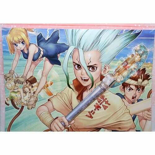 Плакат, постер на холсте Доктор Стоун, Dr. Stone. Размер 21 х 30 см