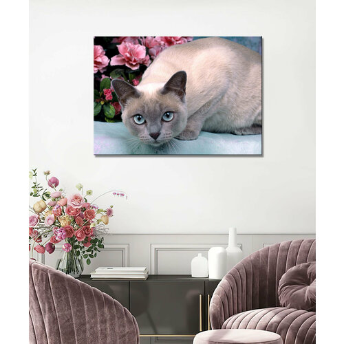 Картина - кошка, тонкинская кошка, голубые глаза, кошка в цветах, домашняя кошка, ласковая кошка, кот (130) 20х30