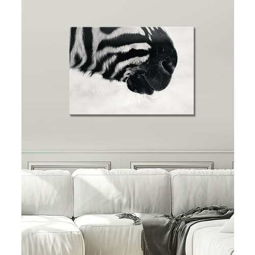 Картина - Зебра, полосатая зебра, красивая зебра, морда зебры (33) 30х40