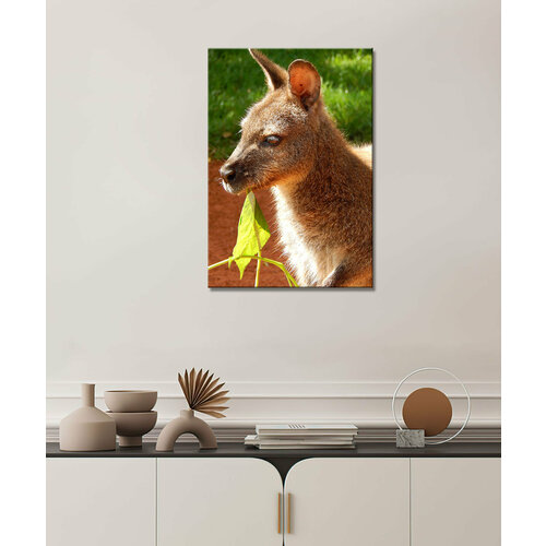 Картина - кенгуру, маленький кенгуру, рыжий кенгуру, кенгуру с листком (31) 20х30